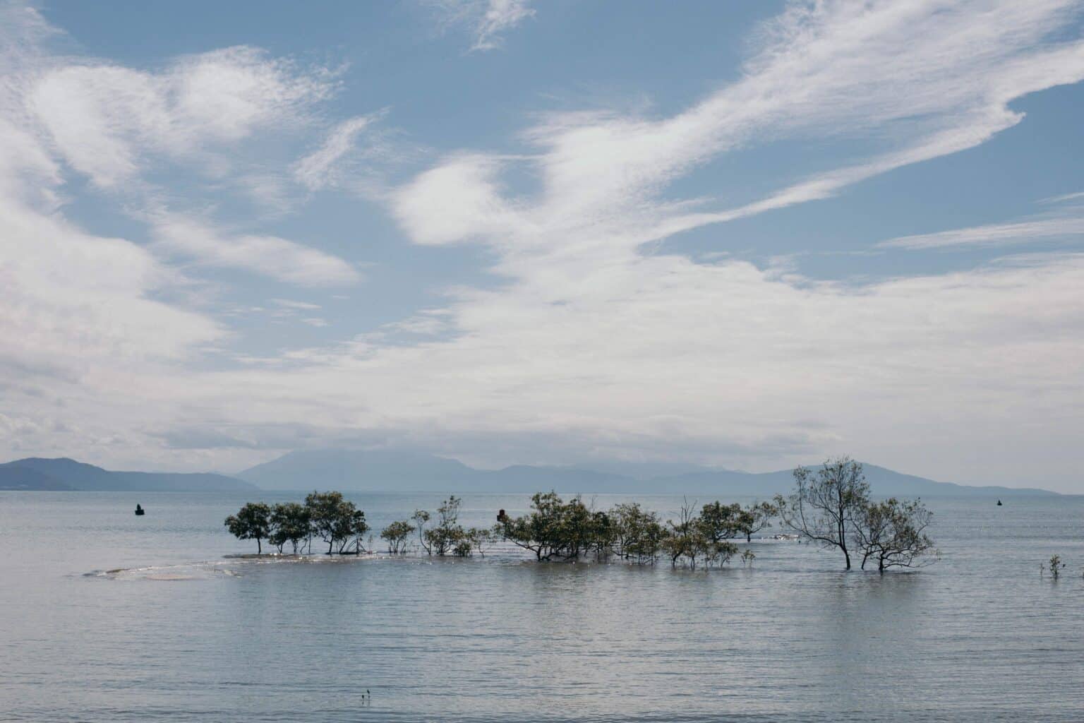 A Funding Strategy for 2025 - Nature Impact Collective