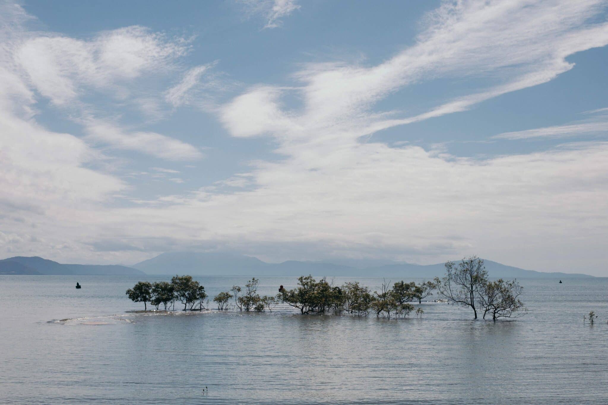 Nature Impact Collective | Protecting Australia's Natural Environments