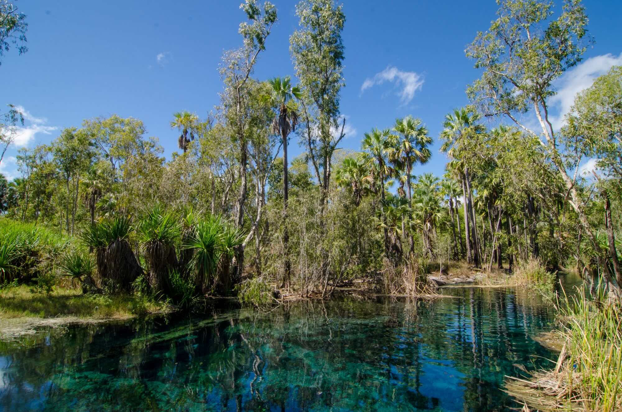 Funding Round 2025 - Nature Impact Collective
